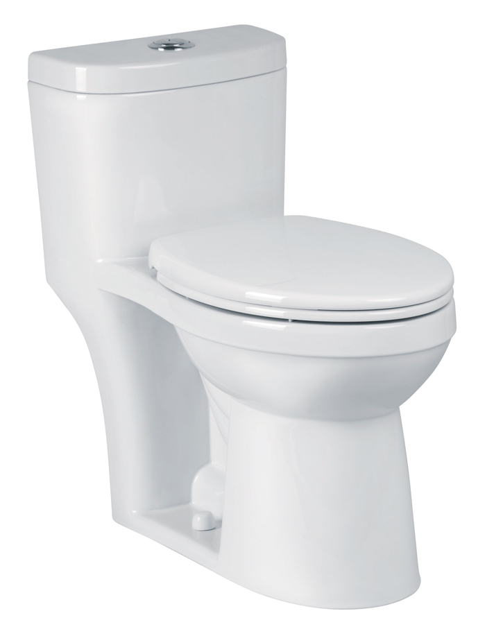 Water Ridge Dual Flush Toilet Glacier Bay McClure 12 Inch Rough In